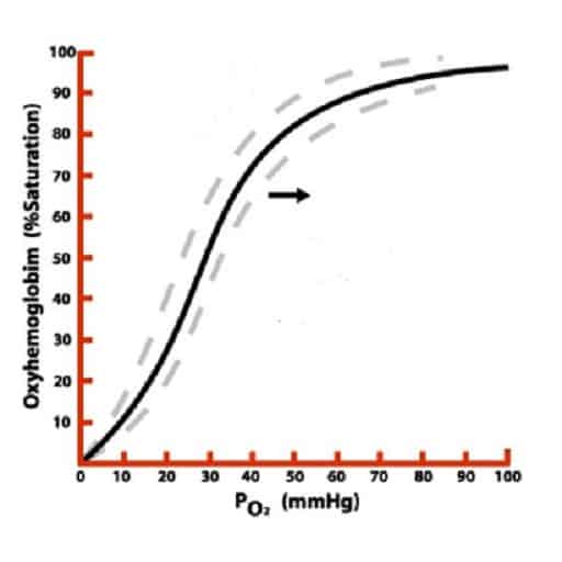 1493034824 (1) - New