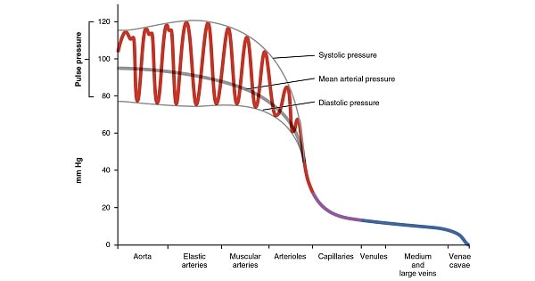 Principles Of Blood Flow - www.medicoapps.org