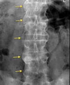 Image based Question-66579 - New