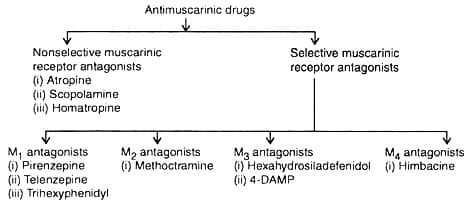 ANTI-CHOLINERGIC DRUGS - New