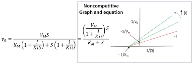 ENZYME INHIBITION (COMPETITIVE, NON-COMPETITIVE AND UNCOMPETITIVE) - New