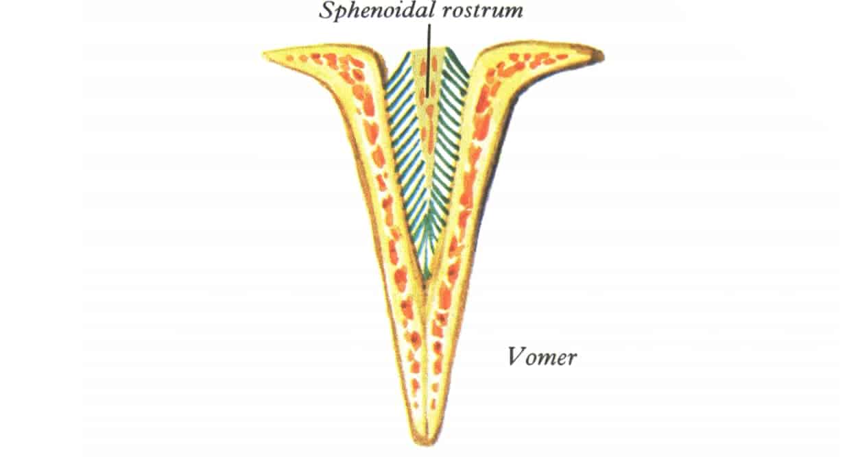 Image Based Question-65076 - New