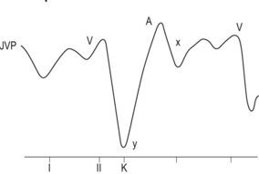 Image Based Question-67733 - New