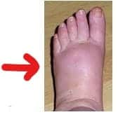 Image Based Question-67736 - New