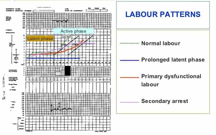 PARTOGRAM - www.medicoapps.org