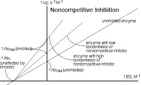 ENZYME INHIBITION (COMPETITIVE, NON-COMPETITIVE AND UNCOMPETITIVE) - New