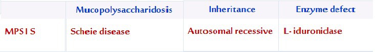 Mucopolysaccharidosis - New