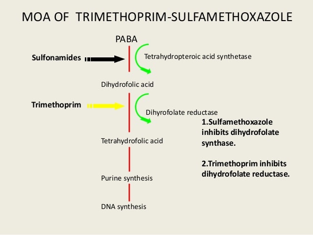 COTRIMOXAZOLE - New