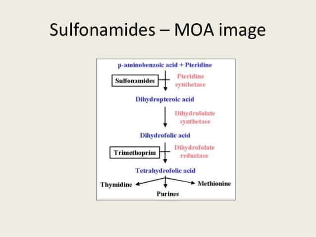 SULPHONAMIDE - New