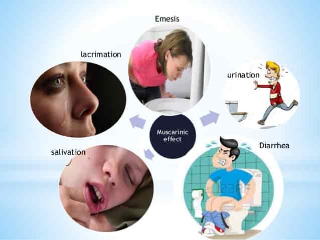 ORGANOPHOSPHATES POISONING (OPP) - www.medicoapps.org