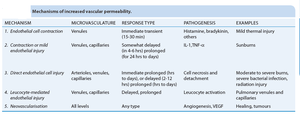 ACUTE INFLAMMATION- Vascular events - www.medicoapps.org