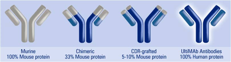 MONOCLONAL ANTIBODY - New