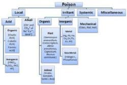 Poison: Classification - New