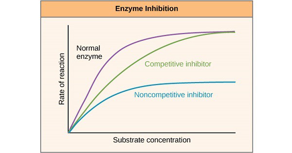 Enzyme Inhibition - www.medicoapps.org