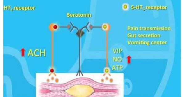 Prokinetic Drugs - www.medicoapps.org