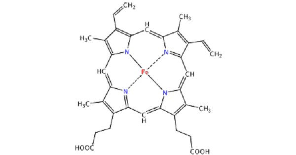 Porphyrins - www.medicoapps.org