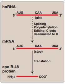 RNA editing - New