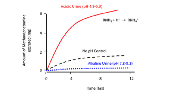 pH & Drugs - Relationship - New
