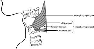 Killian - www.medicoapps.org