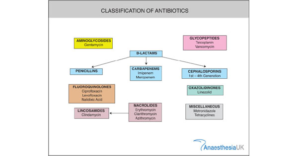 Classifications Of Antibiotics Molecular Mechanisms Of Antimicrobial