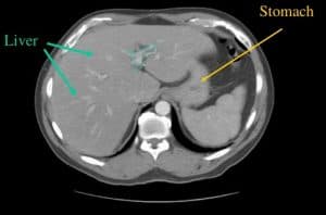 med_structure - www.medicoapps.org