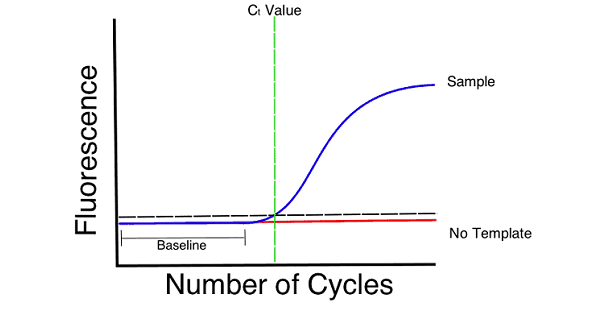REAL TIME PCR - New