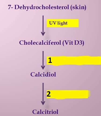 MCQ - 67332 - www.medicoapps.org