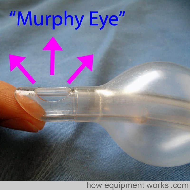 murphy_eye - New