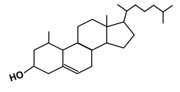 cholesterol_model - New