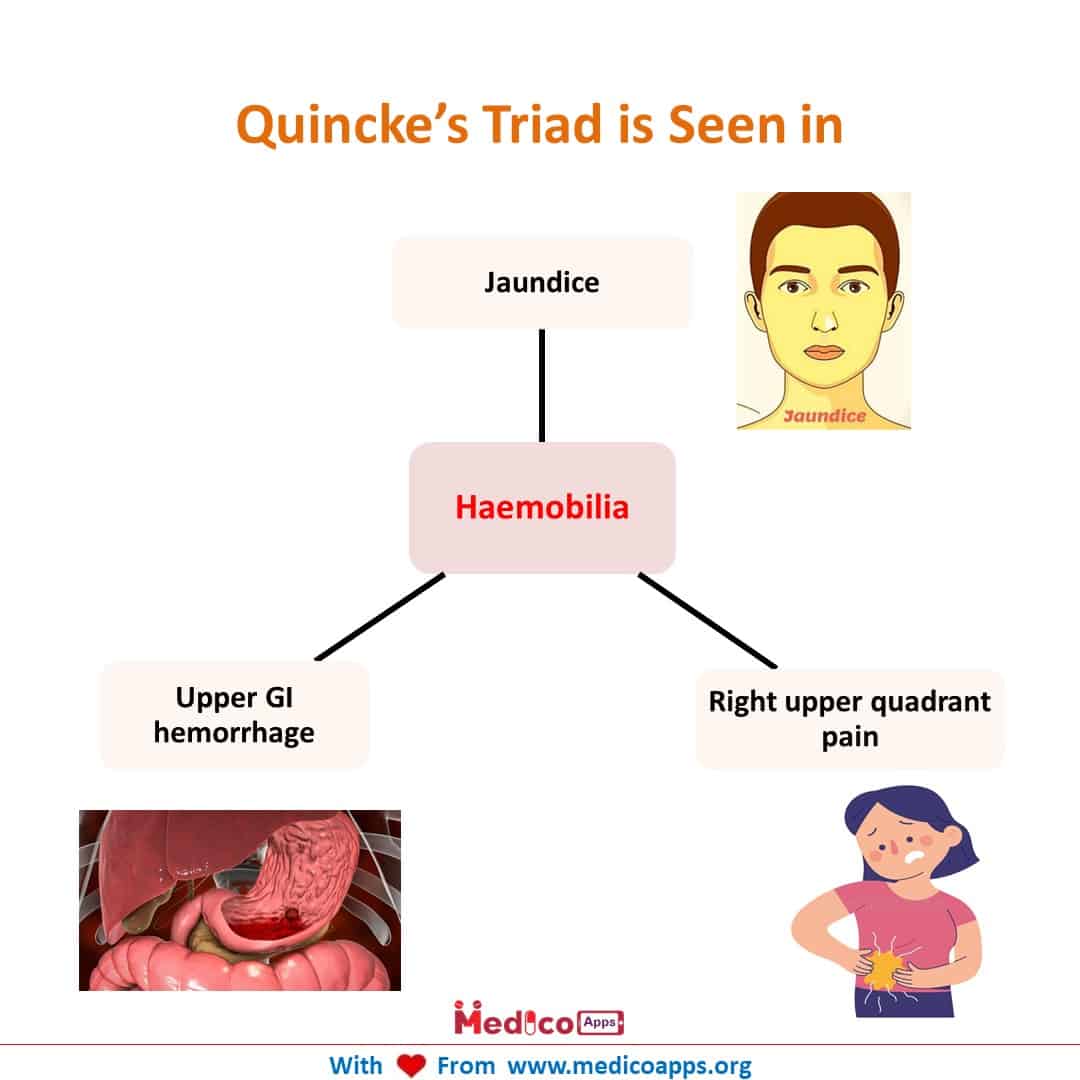 20220324040347 - New