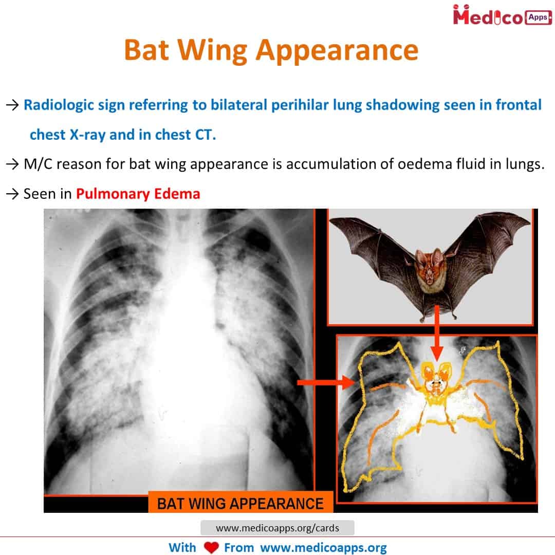 20220518010558 - www.medicoapps.org