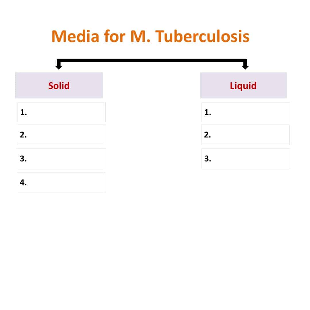 20220617050613-1 - New