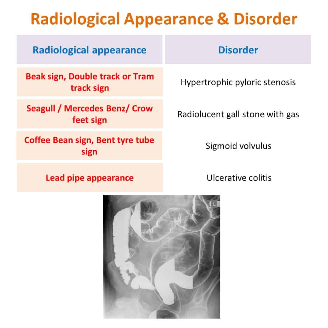 20220619030645 - New