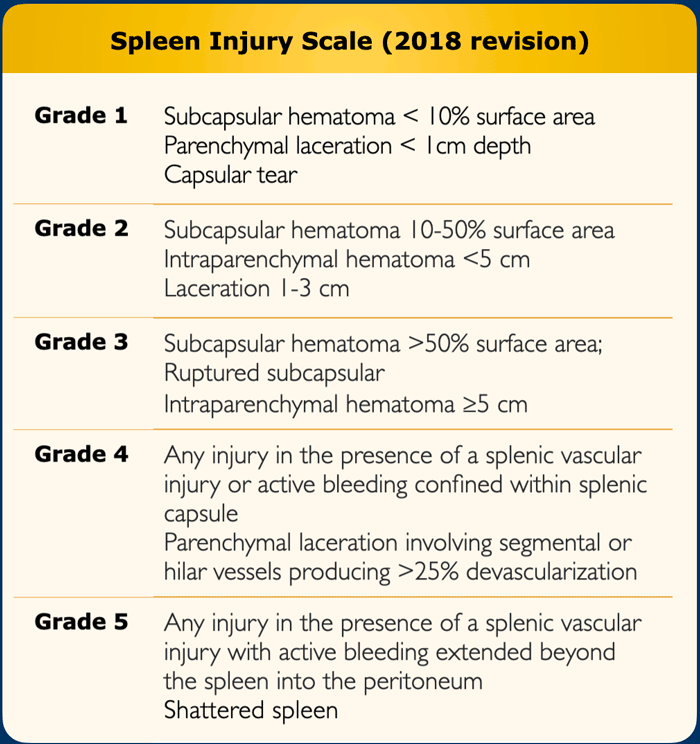 20241220061214 - New